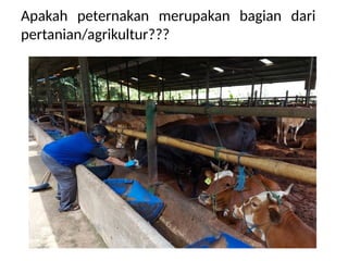 Pentingnya agrikultur di Indonesia IPS SMP kelas 8 | PPTX
