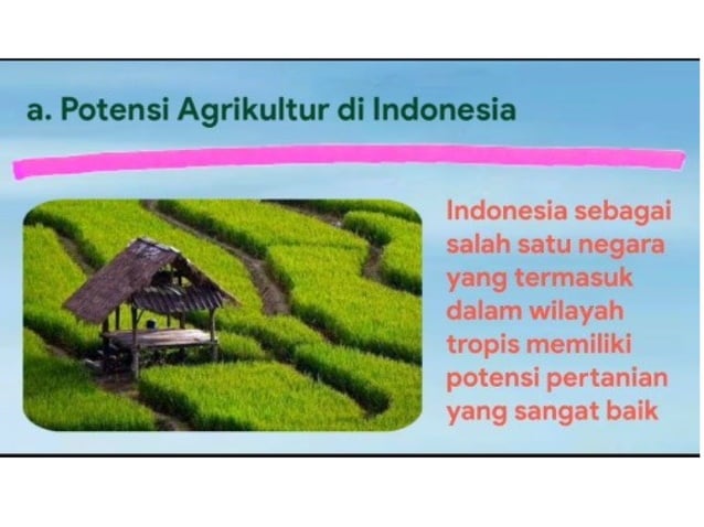 Pentingnya agrikultur di Indonesia IPS SMP kelas 8 | PPTX