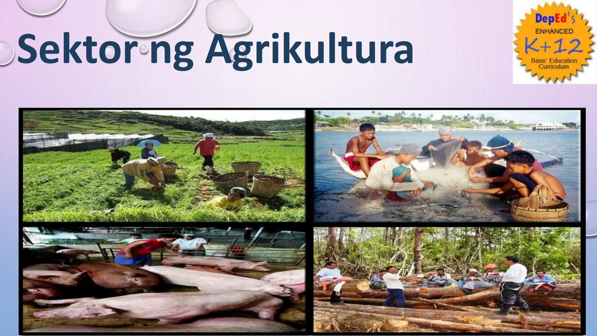 ANG SEKTOR NG agrikultura.pptx QUARTER 4 | PPTX