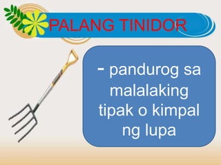 AGRIKULTURA KASANGKAPAN SA PAGHAHALAMAN.pptx