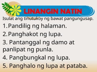 AGRIKULTURA KASANGKAPAN SA PAGHAHALAMAN.pptx