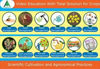 ICT in Agriculture | PDF