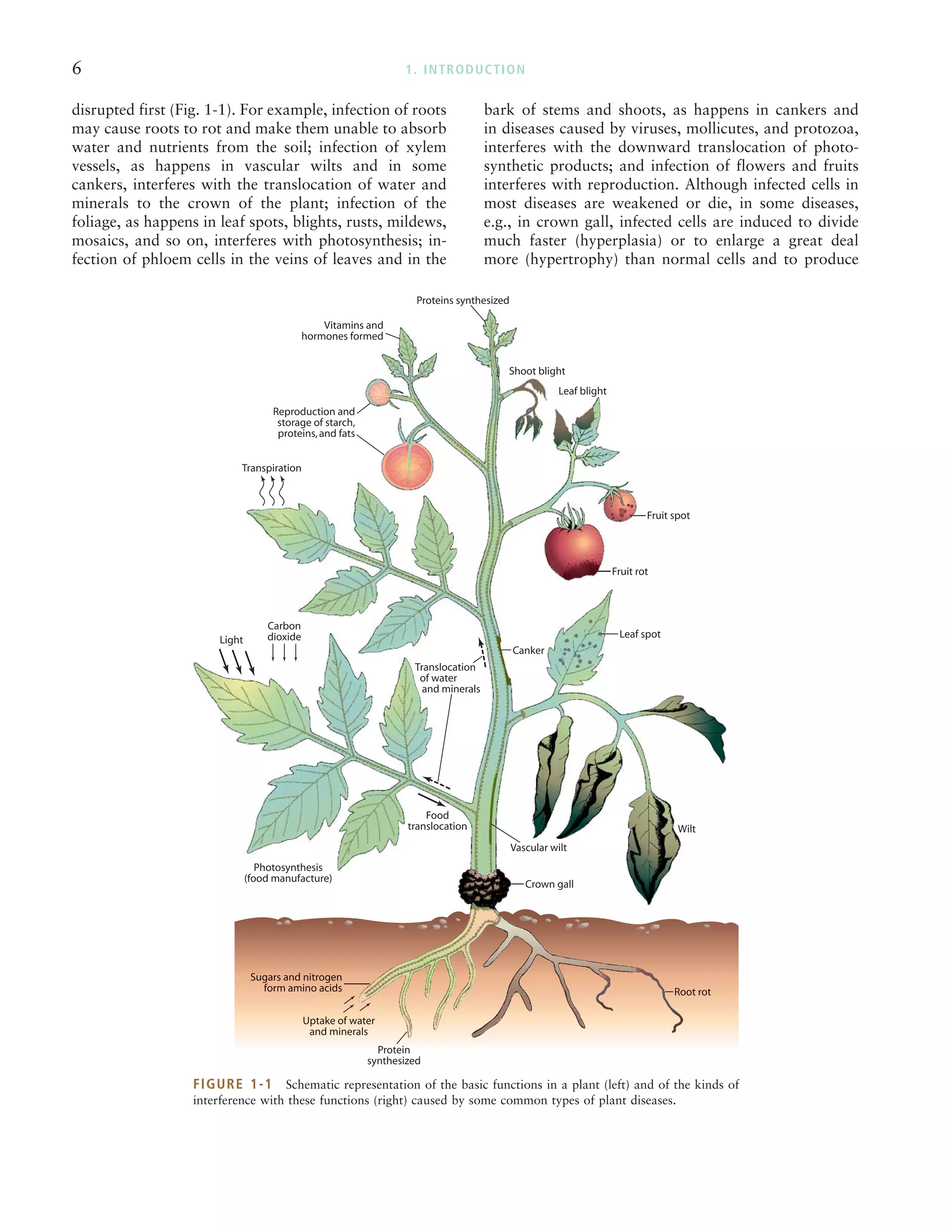 Agrios (2005) - Plant pathology 5. ed.pdf