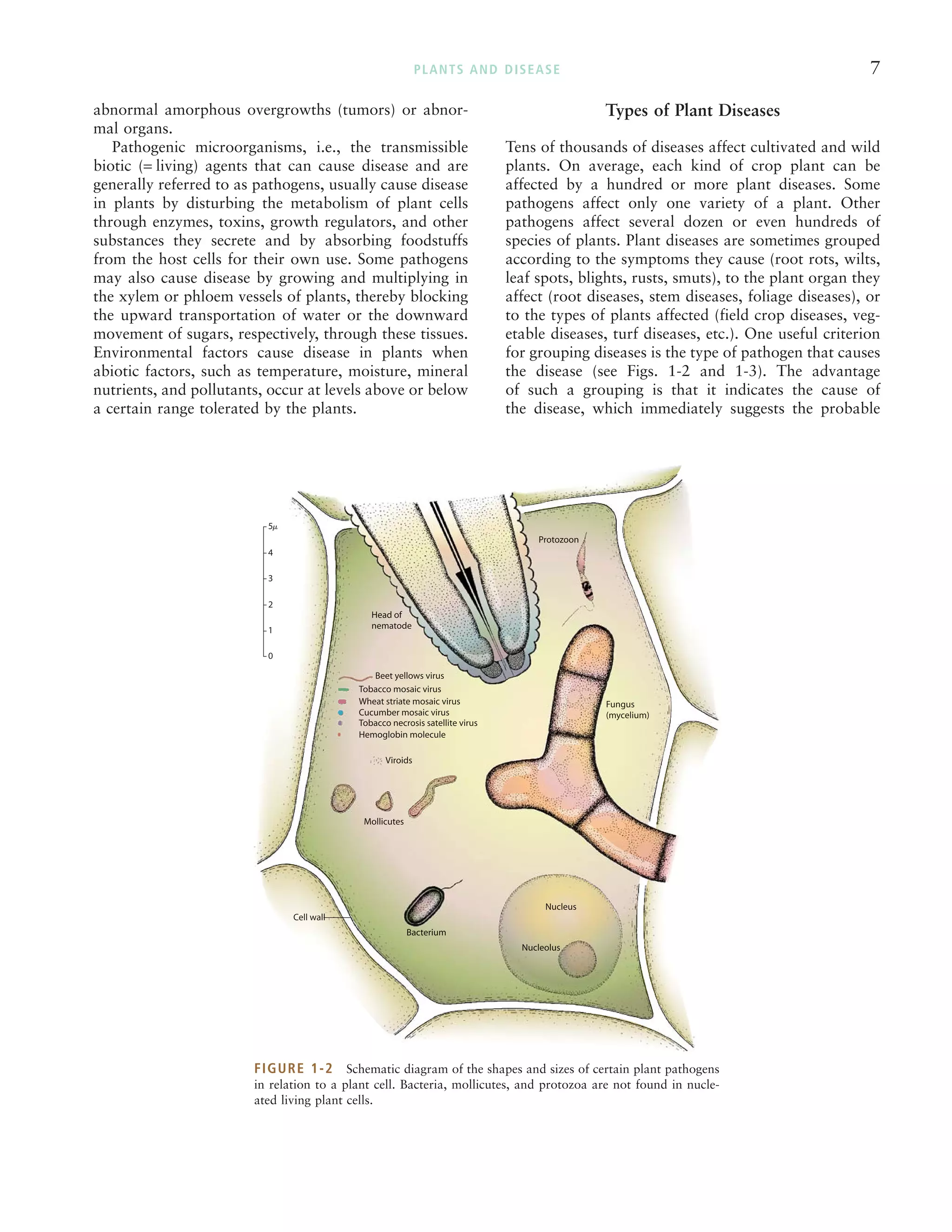Agrios (2005) - Plant pathology 5. ed.pdf