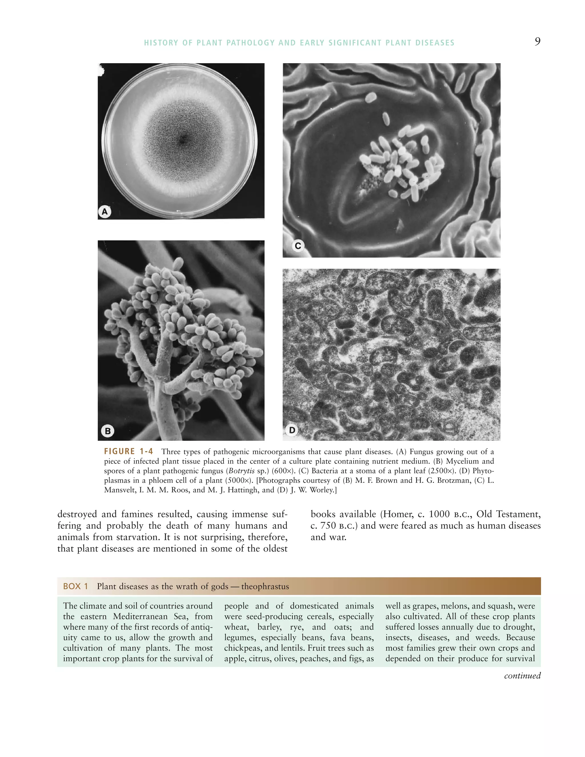 Agrios (2005) - Plant pathology 5. ed.pdf