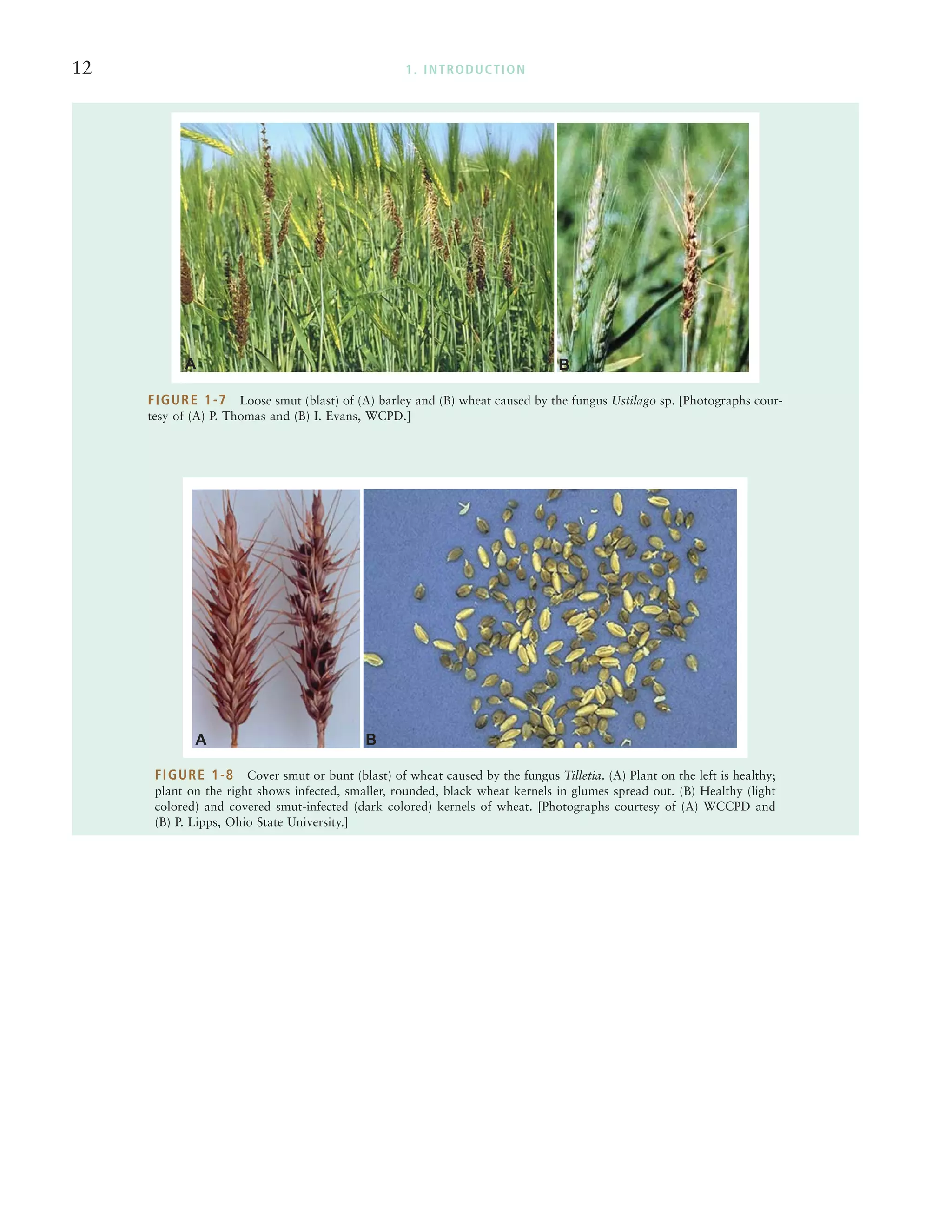Agrios (2005) - Plant pathology 5. ed.pdf