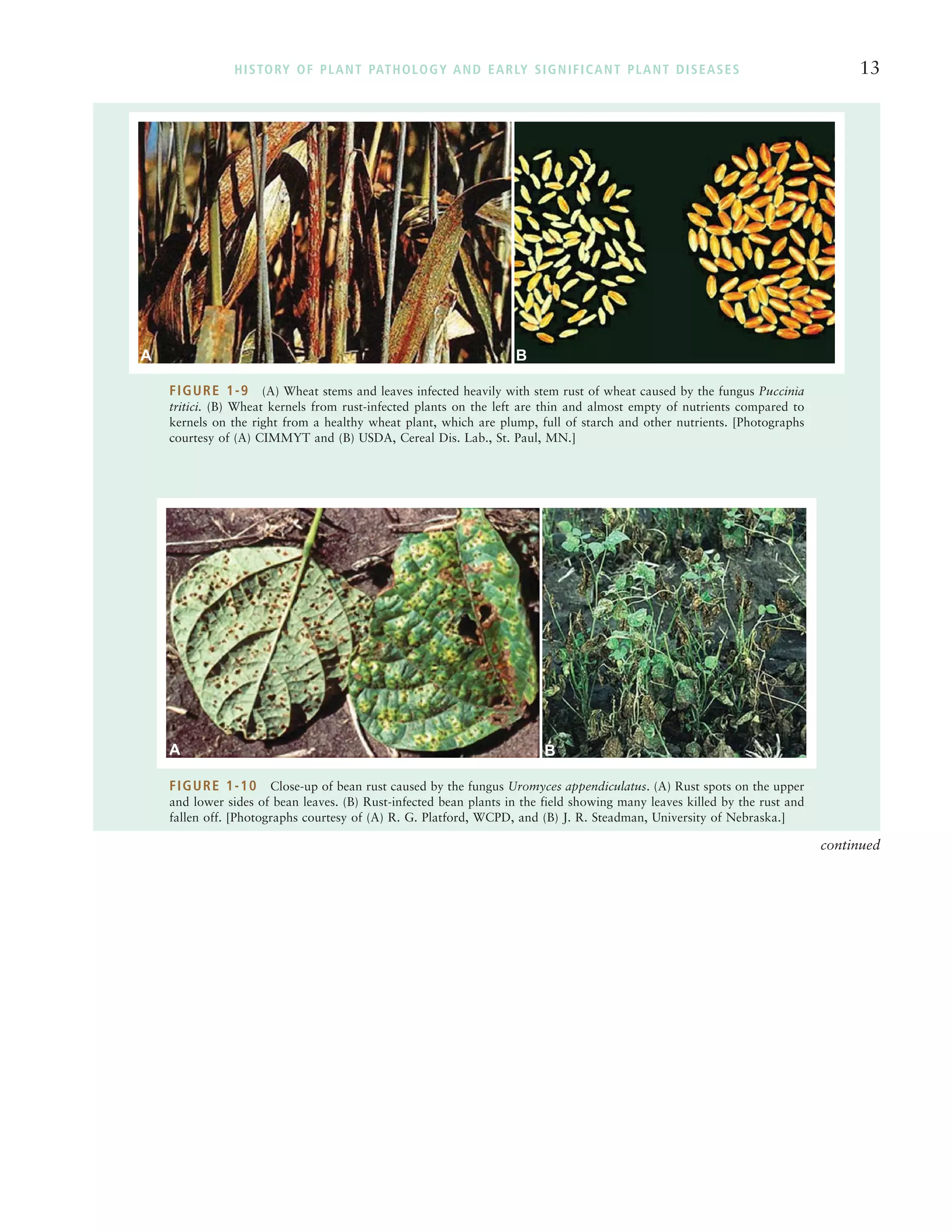 Agrios (2005) - Plant pathology 5. ed.pdf