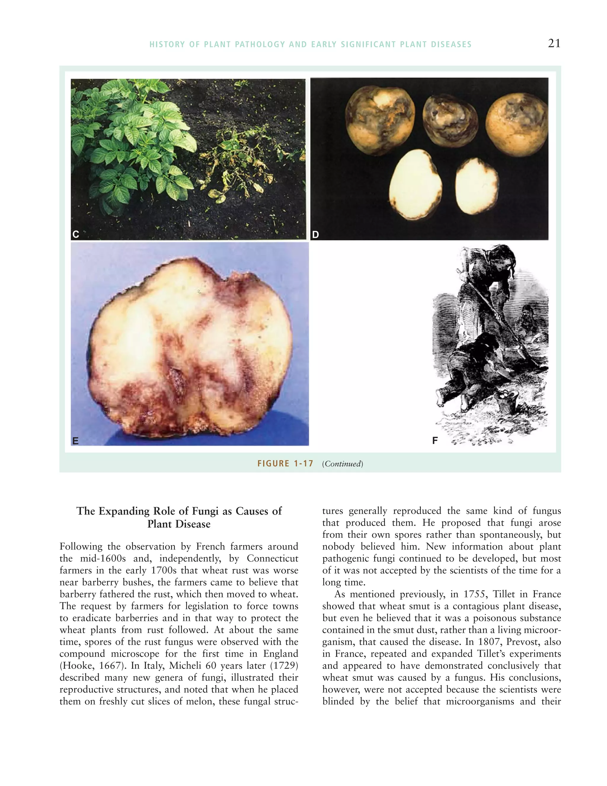 Agrios (2005) - Plant pathology 5. ed.pdf