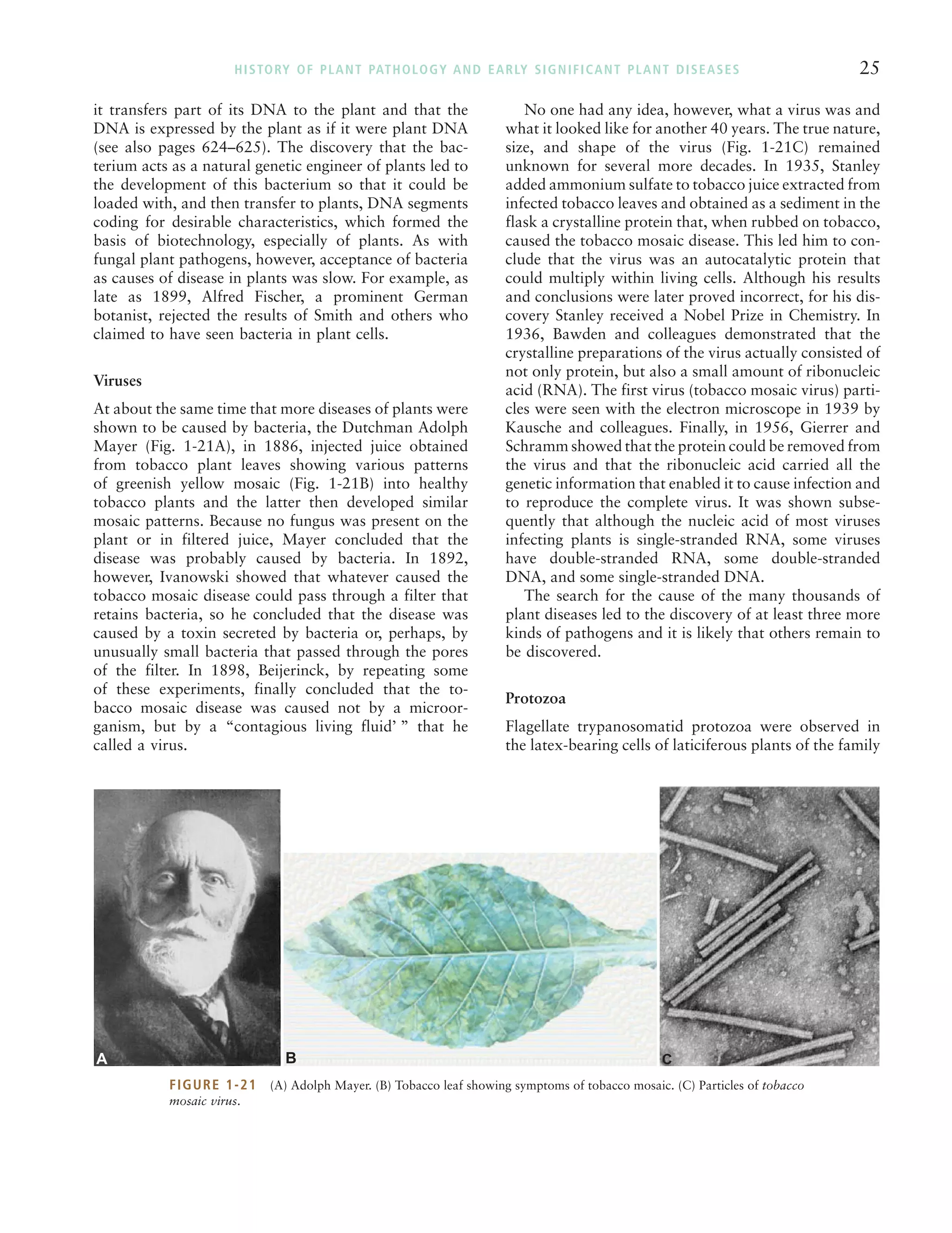 Agrios (2005) - Plant pathology 5. ed.pdf