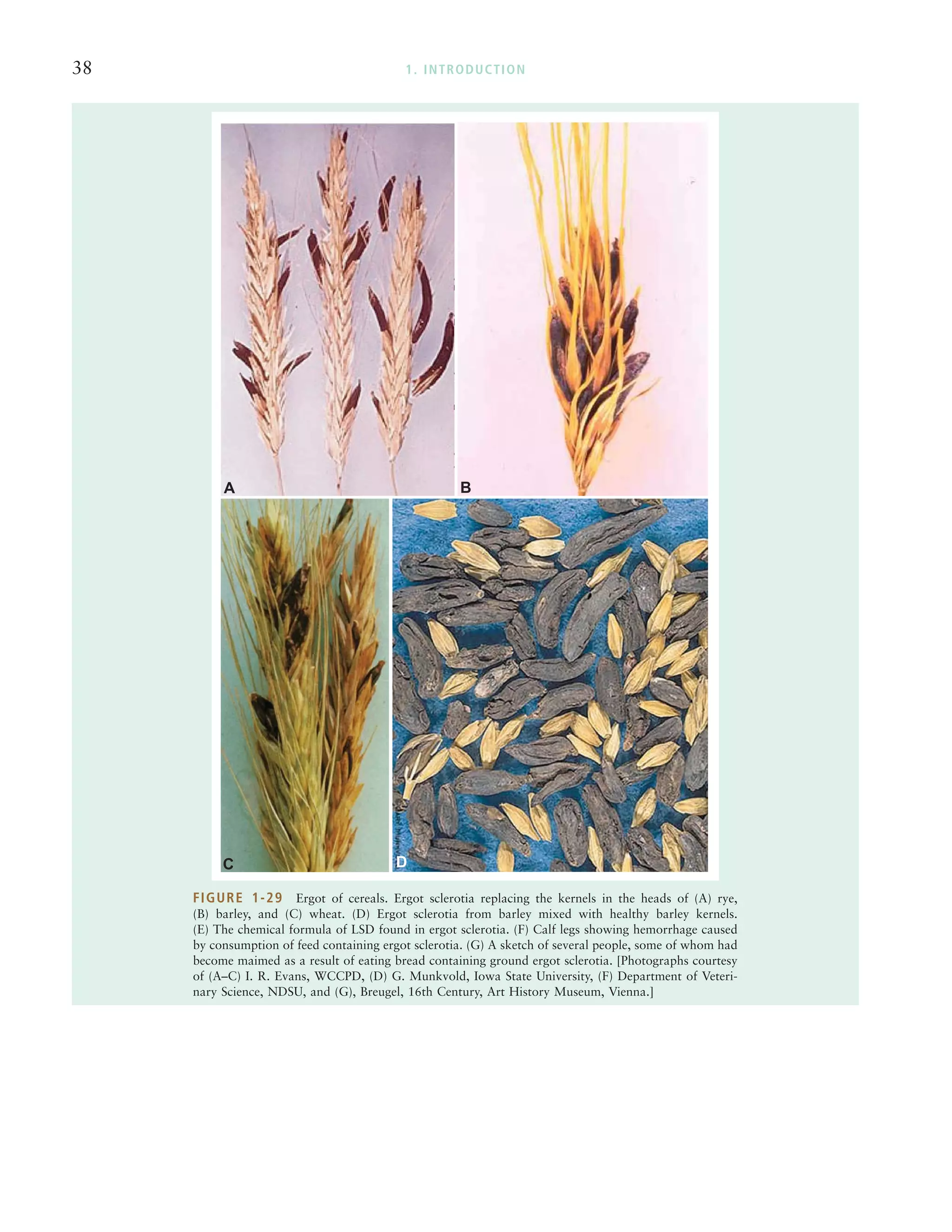 Agrios (2005) - Plant pathology 5. ed.pdf