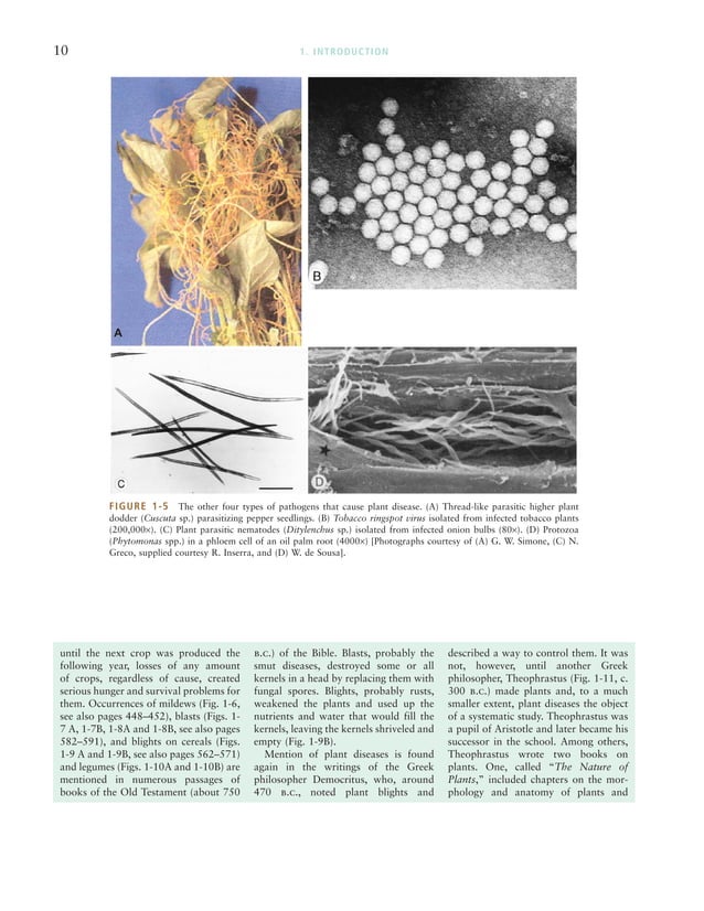 Agrios (2005) - Plant pathology 5. ed.pdf