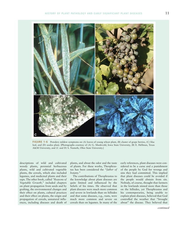 Agrios (2005) - Plant pathology 5. ed.pdf
