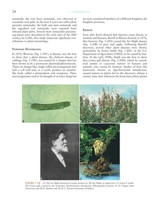 Agrios (2005) - Plant pathology 5. ed.pdf