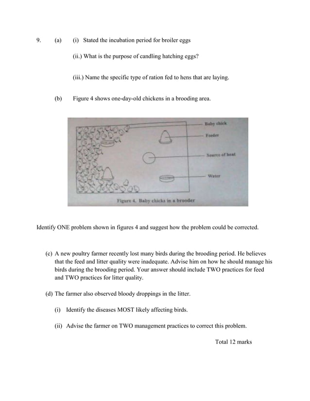 Agriculturesciece past paper | DOCX | Agriculture | Industries