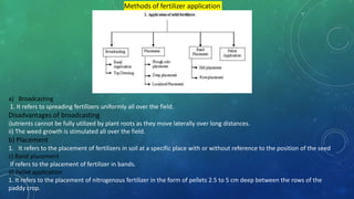 agri ppt[1].pptx agriculture agriculture | PPT