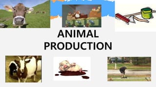 AGRI PPT 3.1.pptx
