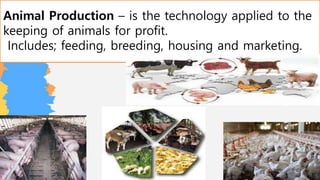 AGRI PPT 3.1.pptx