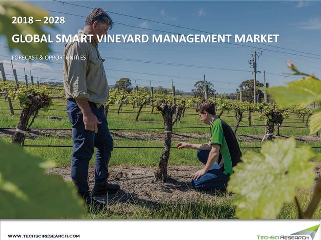 Agri_Sample_Global Smart Vineyard Management Market 2028.pdf | Computer ...