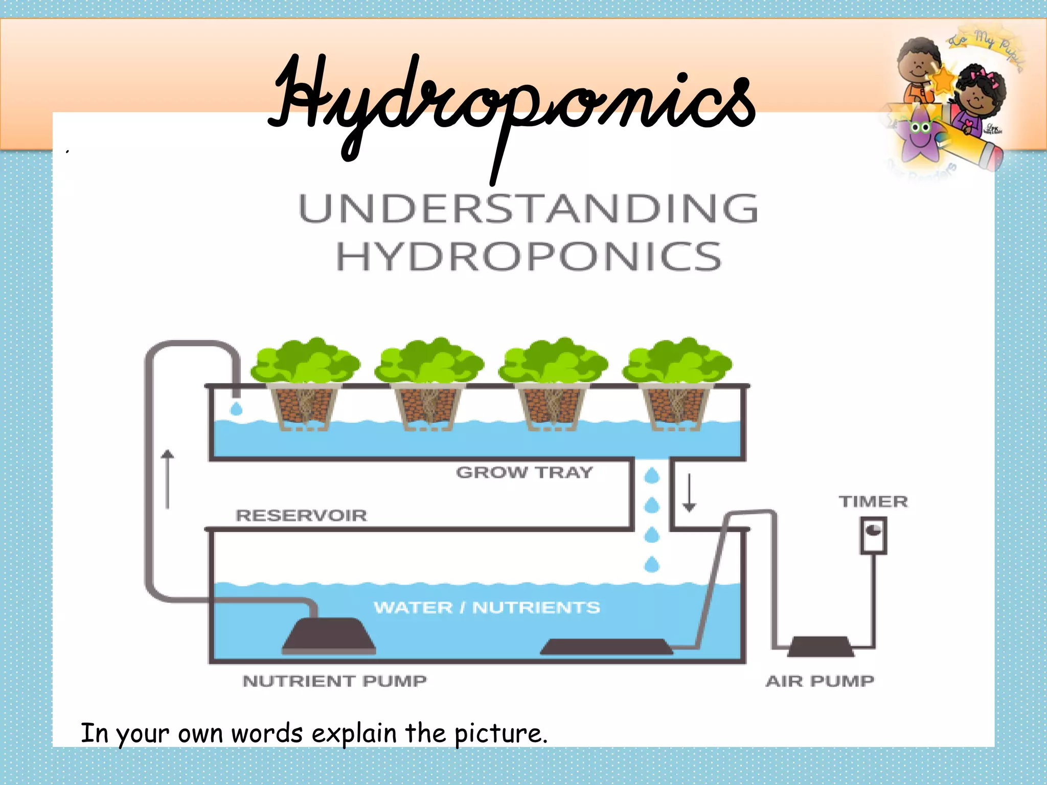 Agricultural Science: Hydroponics | PDF | Gardening | Home & Garden