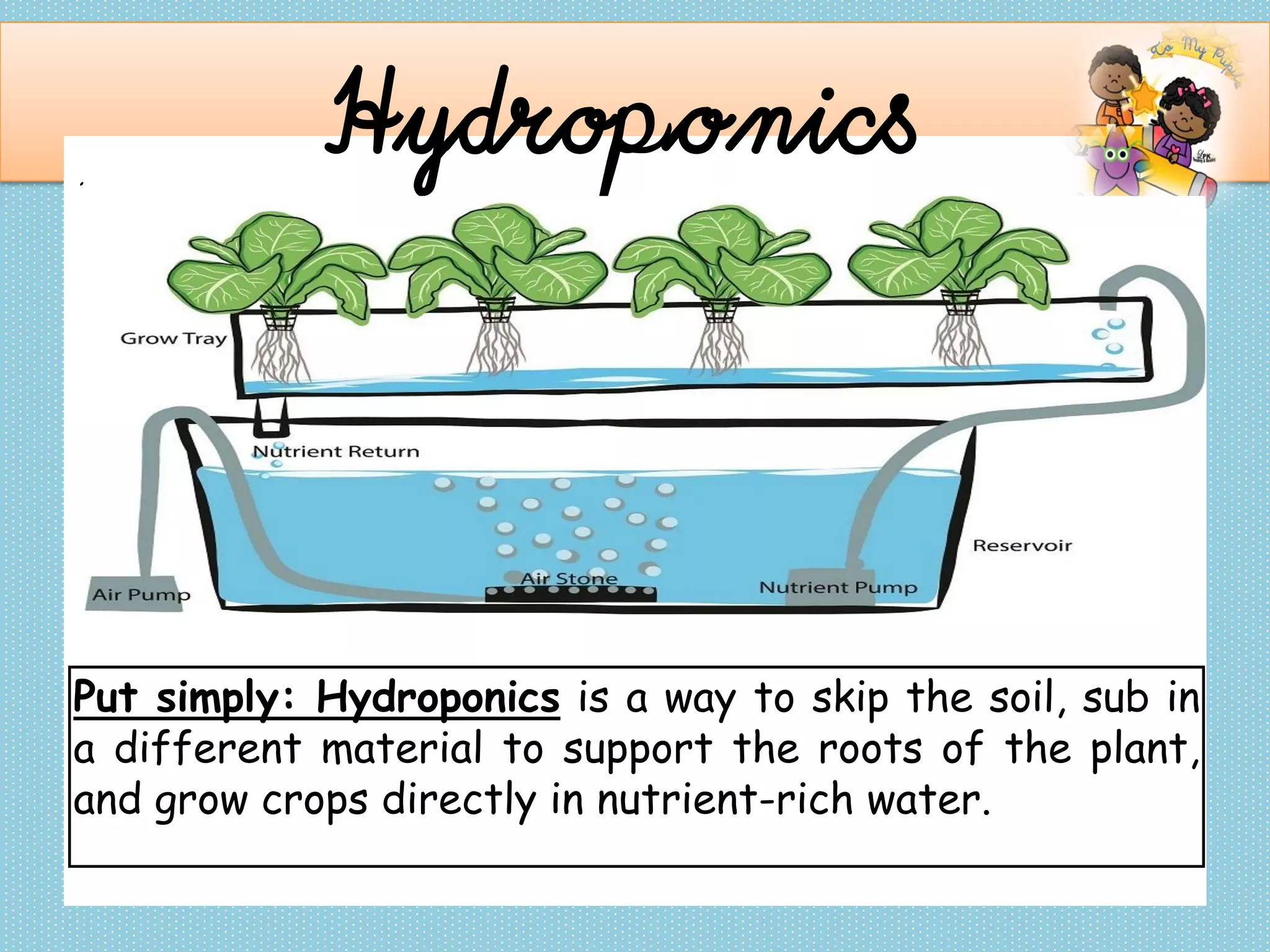Agricultural Science: Hydroponics | PDF | Gardening | Home & Garden