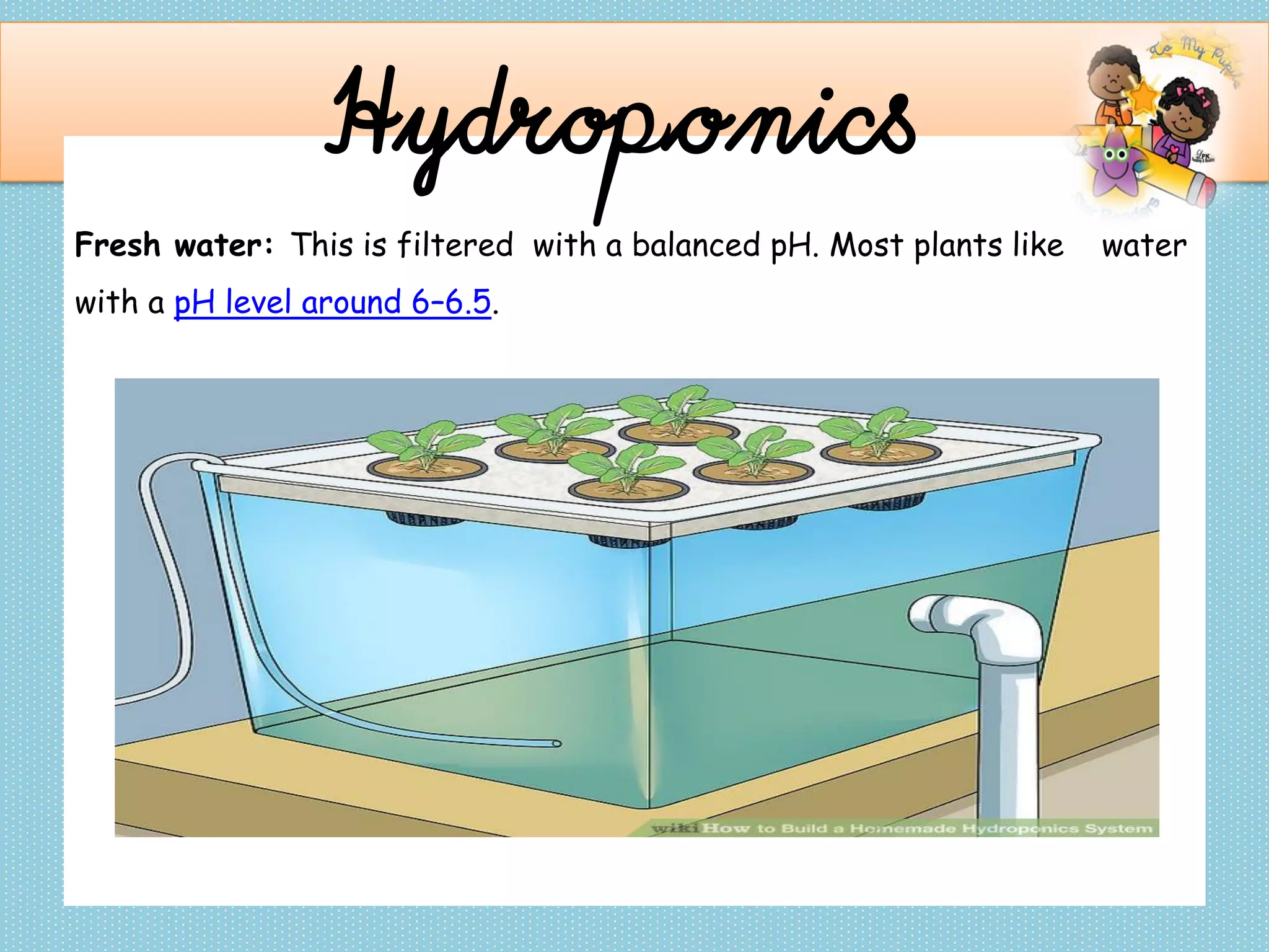Agricultural Science: Hydroponics | PDF | Gardening | Home & Garden