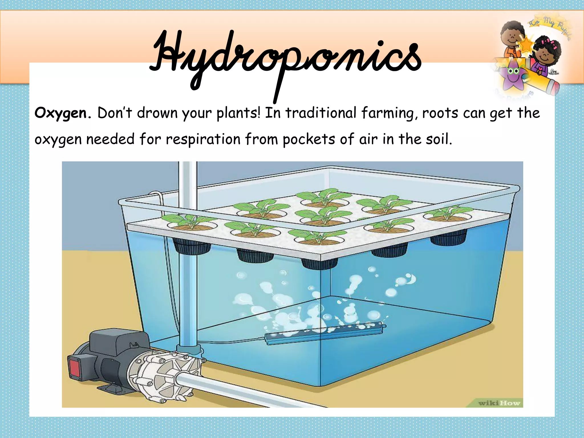 Agricultural Science: Hydroponics | PDF | Gardening | Home & Garden