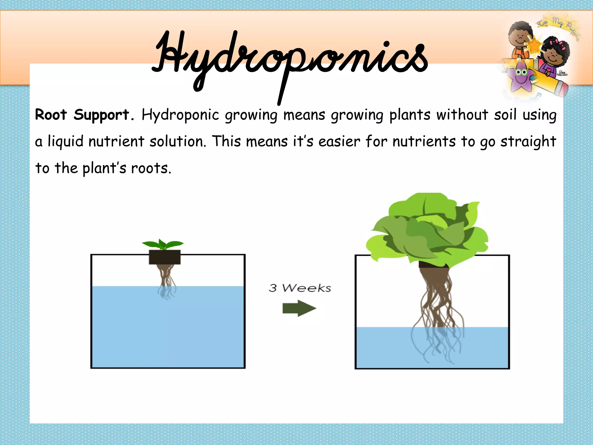Agricultural Science: Hydroponics | PDF | Gardening | Home & Garden
