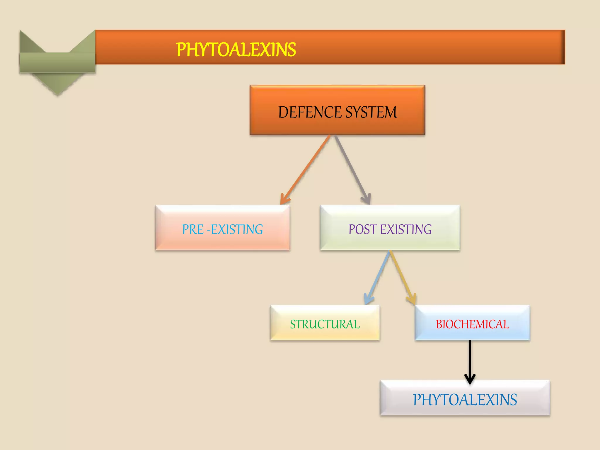 Phytoalexins | PPTX