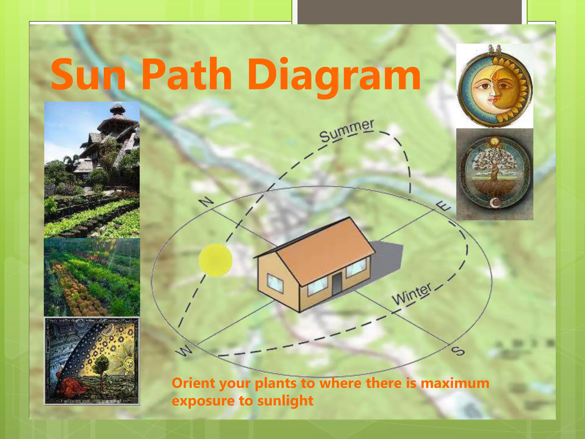 Agritecture: Fusion of Agriculture and Architecture | PDF