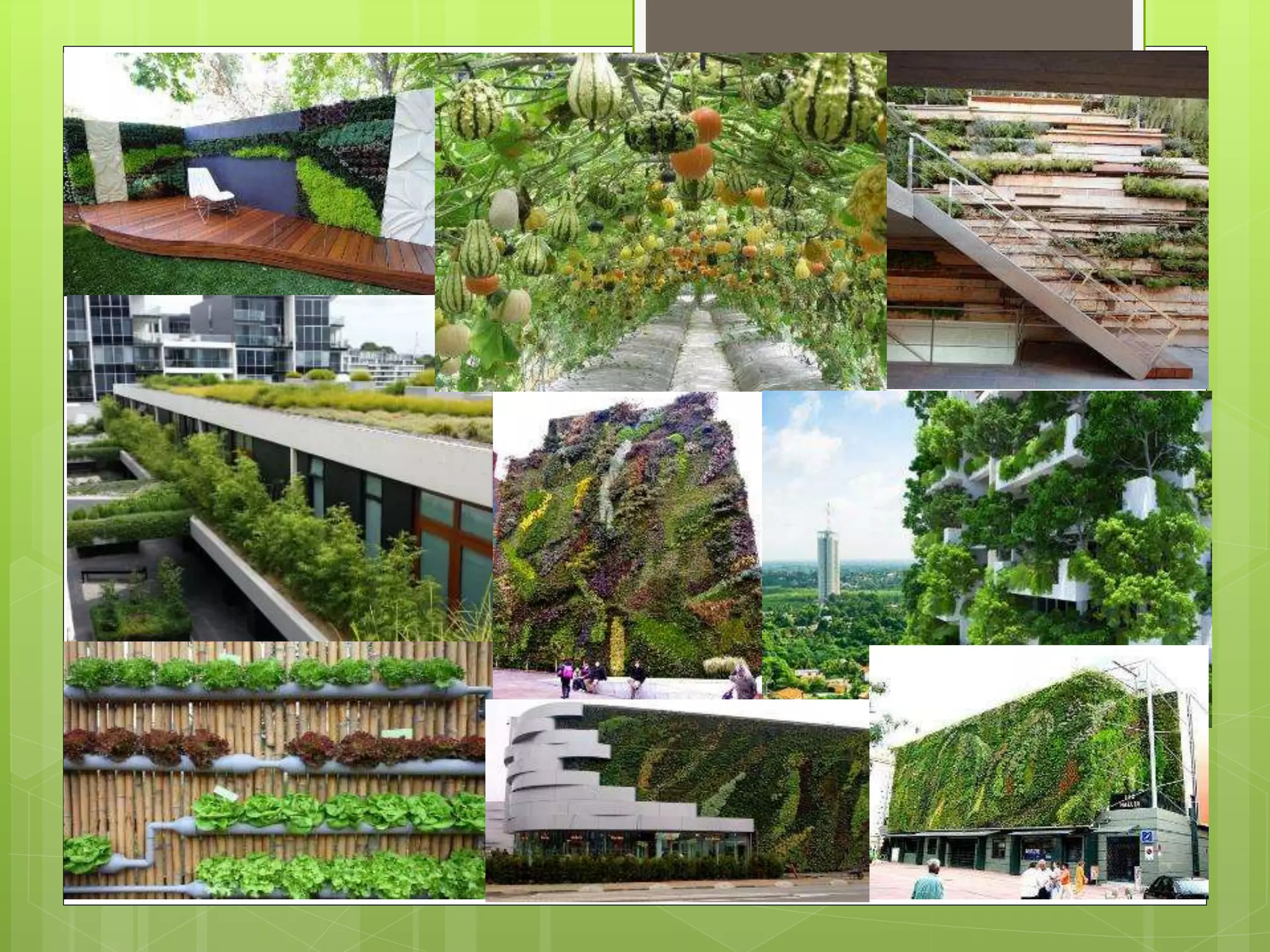 Agritecture: Fusion of Agriculture and Architecture | PDF