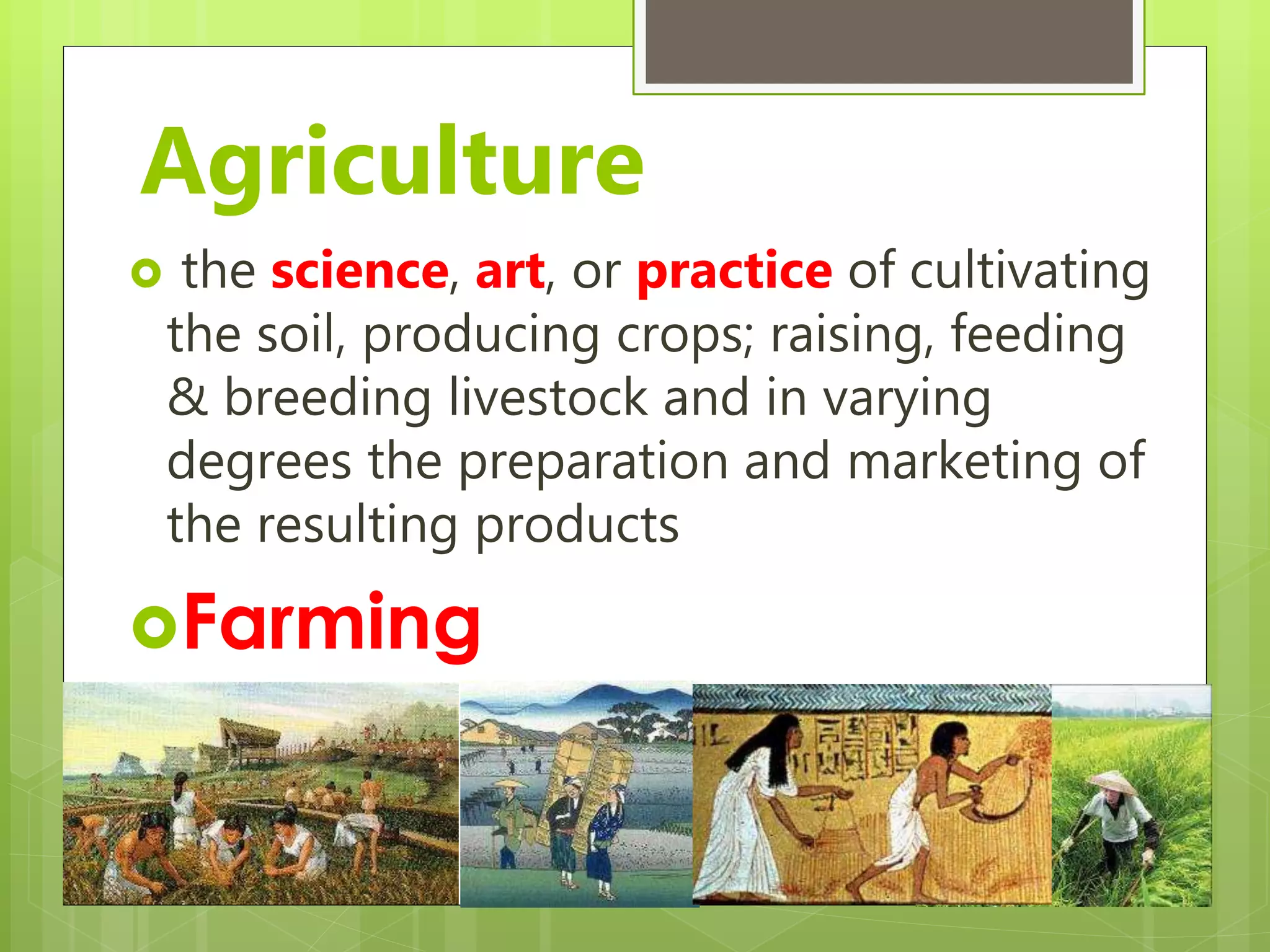 Agritecture: Fusion of Agriculture and Architecture | PDF