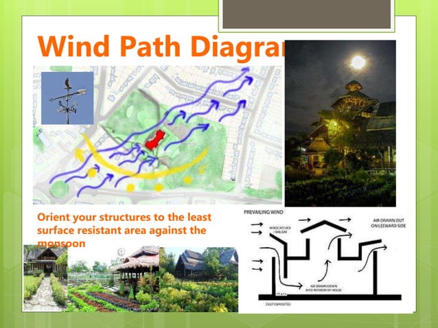 Agritecture: Fusion of Agriculture and Architecture | PDF