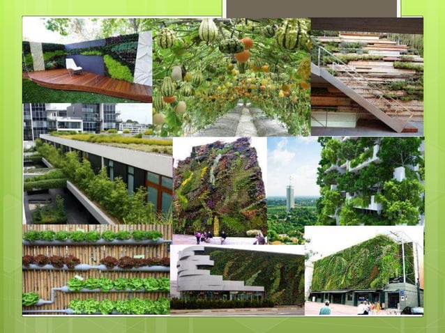Agritecture: Fusion of Agriculture and Architecture | PDF