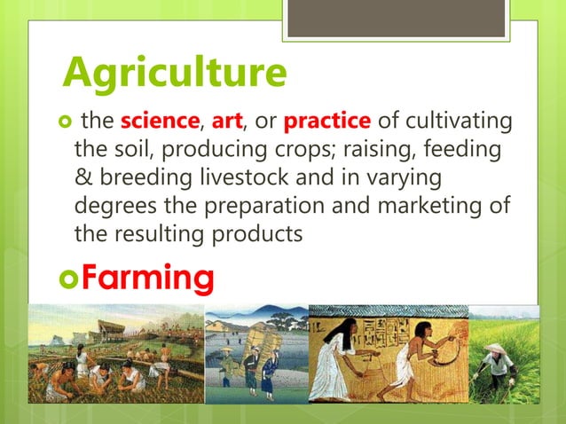 Agritecture: Fusion of Agriculture and Architecture | PDF