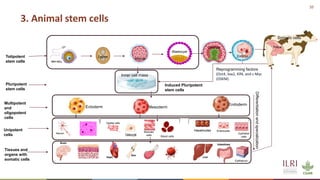 Stem cell and genetic engineering technologies for conservation and ...