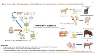 Stem cell and genetic engineering technologies for conservation and ...