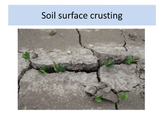 Agr mgt of physical problem soils.ppt