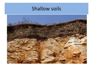 Agr mgt of physical problem soils.ppt
