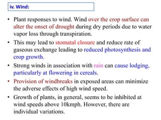 AGRO-101_T_13. growth and development of crops.pptx