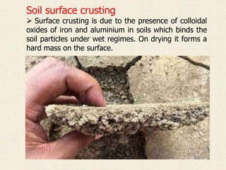 AGRO-101_T_15.crop management in problematic areas.pptx