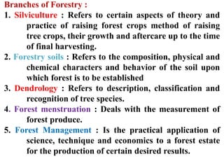 Introduction to Indian forest and terms related to forestry.pptx