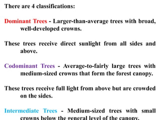 Introduction to Indian forest and terms related to forestry.pptx