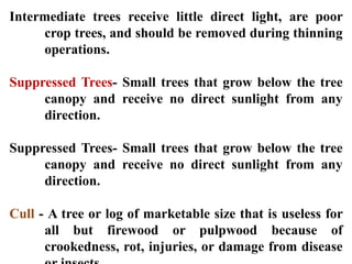 Introduction to Indian forest and terms related to forestry.pptx