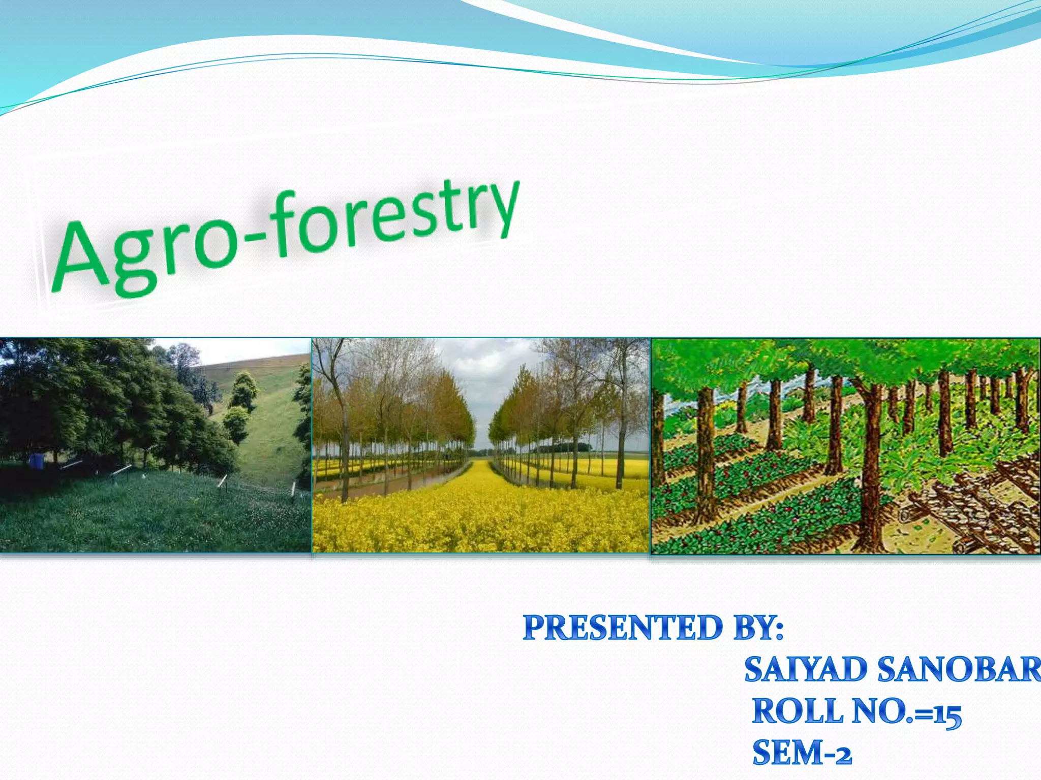 Agro-forestry | PPTX