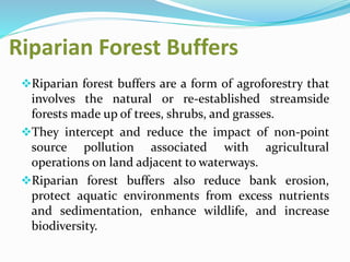 Agro-forestry | PPTX