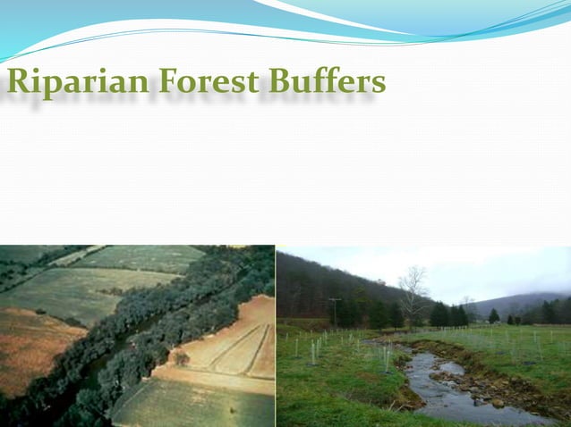 Agro-forestry | PPTX