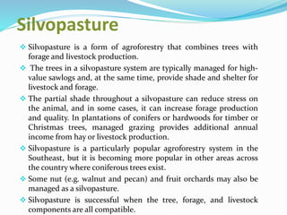 Agro-forestry | PPTX