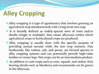 Agro-forestry | PPTX