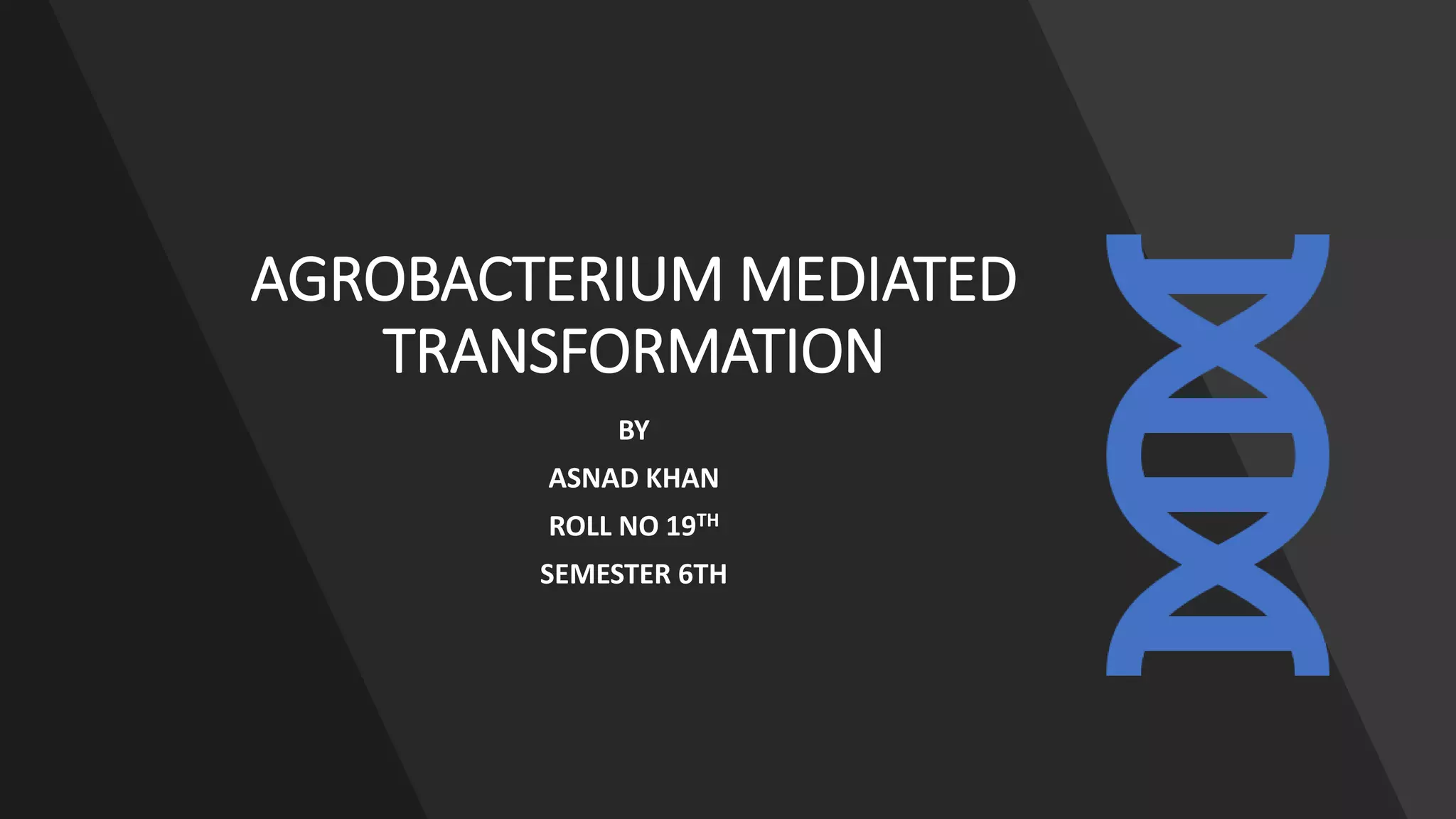 Agrobacterium mediated transformation | PPTX