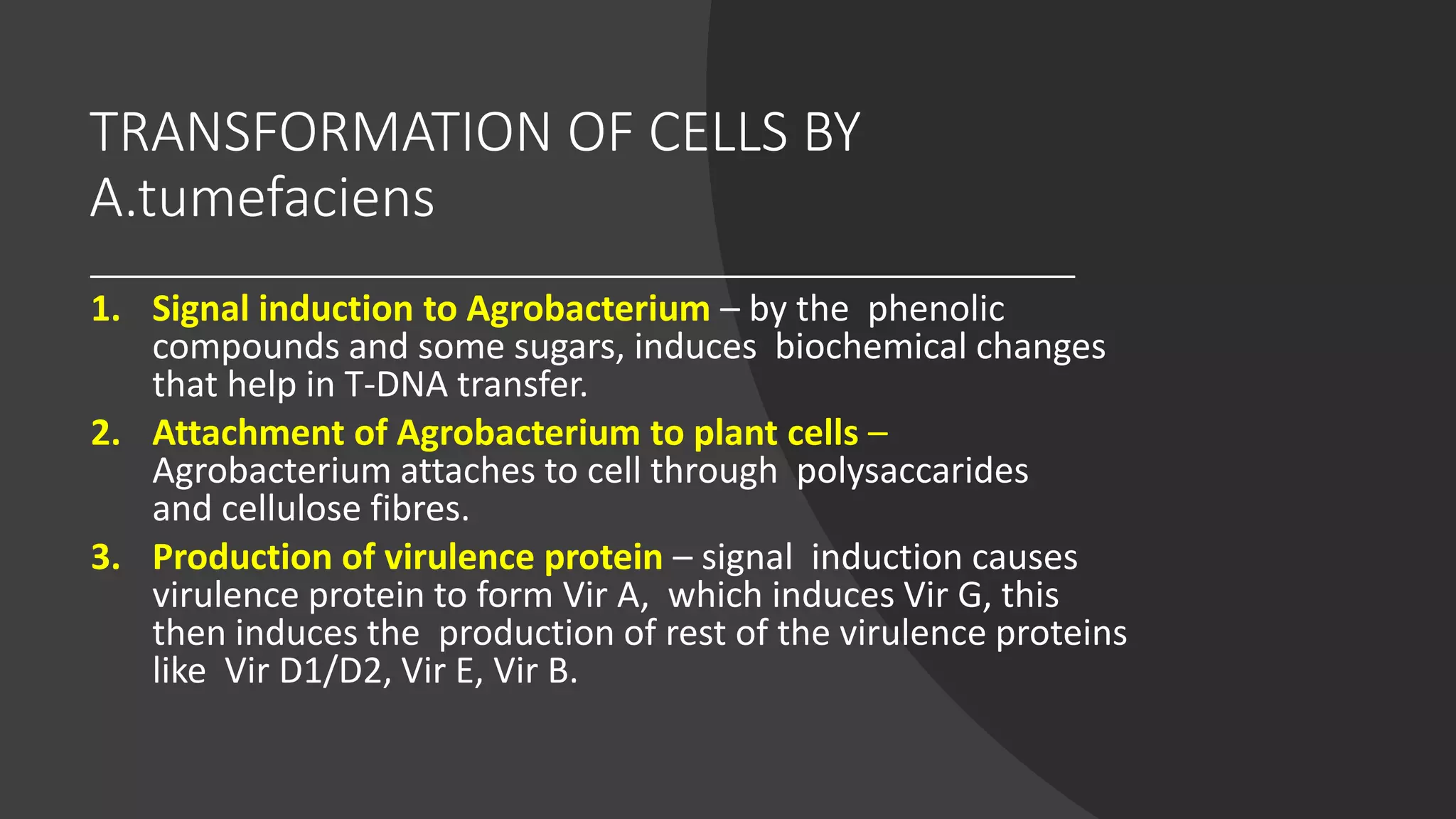 Agrobacterium Mediated Transformation Pptx